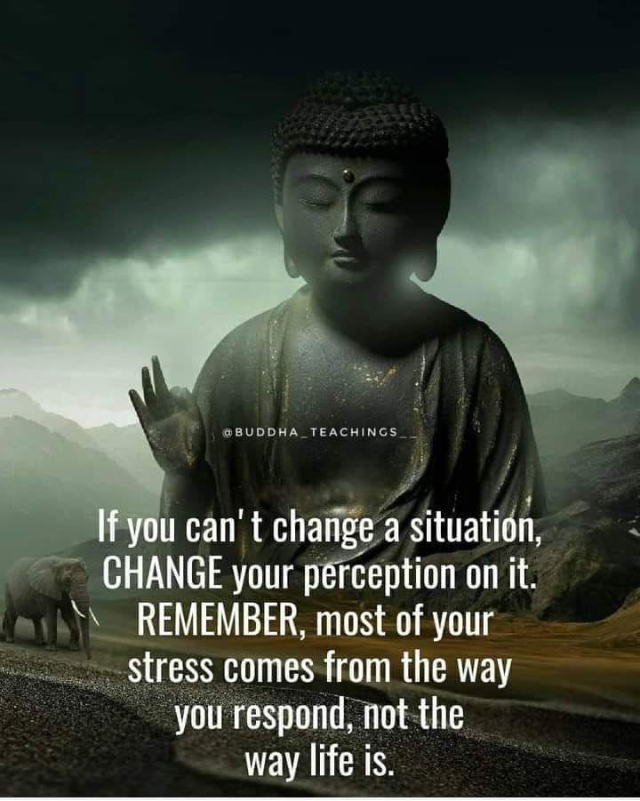If You Can't Change A Situation, Change Your Perception On It. Pictures ...