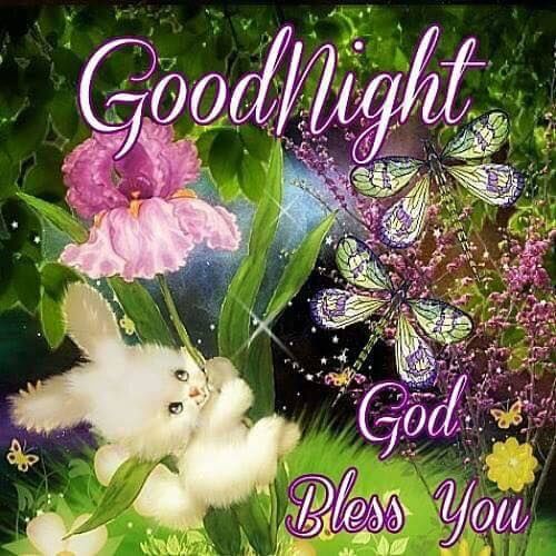 Goodnight Dragonfly Blessing Pictures, Photos, and Images for Facebook ...