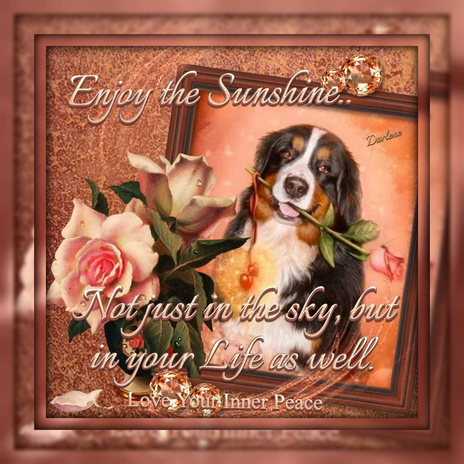 Enjoy The Sunshine Pictures, Photos, and Images for Facebook, Tumblr ...