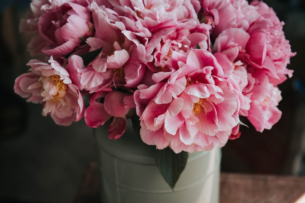 Pail Of Pink Peonies Pictures, Photos, and Images for Facebook, Tumblr ...