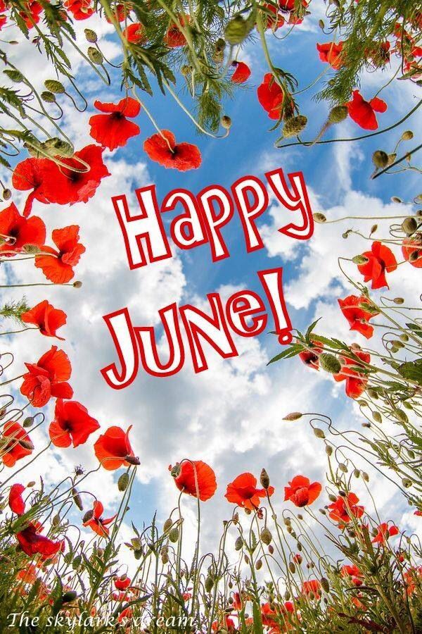 Happy June Pictures, Photos, and Images for Facebook, Tumblr, Pinterest ...