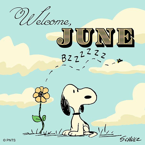 Welcome July Snoopy