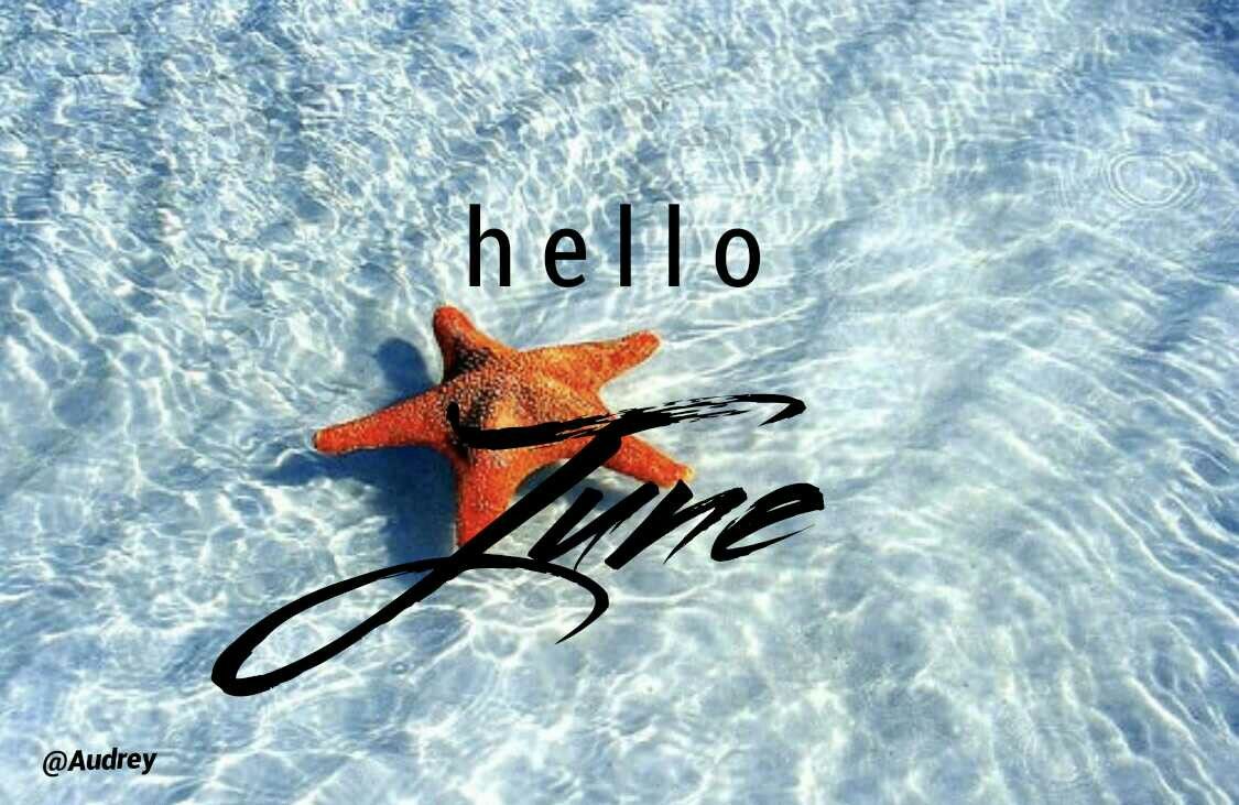Starfish Hello June Pictures, Photos, and Images for Facebook, Tumblr ...