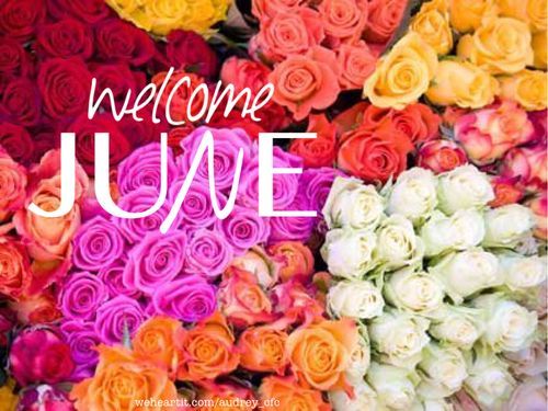 Assorted Colorful Roses - Welcome June Pictures, Photos, and Images for ...