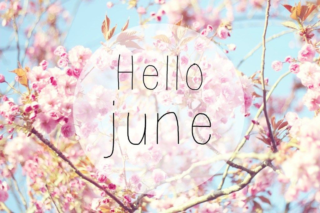 Hello June Tree Of Cherry Blossoms Pictures, Photos, and Images for ...