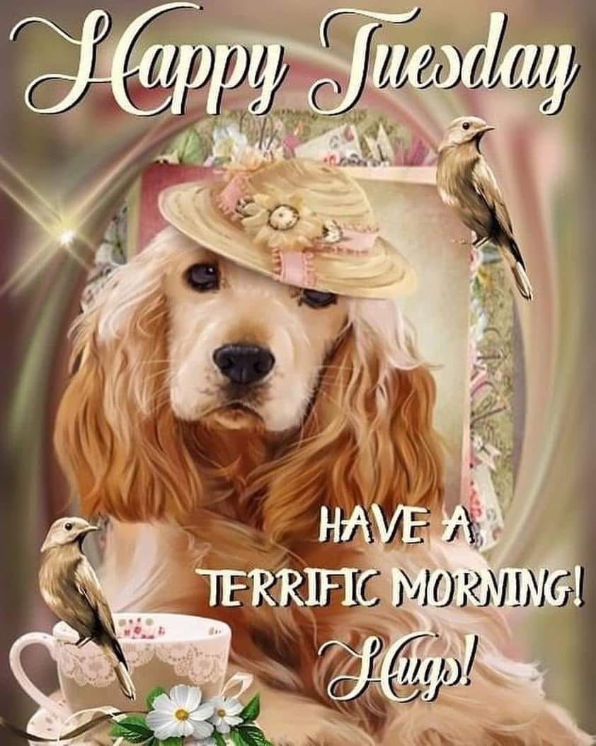 Happy Tuesday, Have A Terrific Morning! Hugs! Pictures, Photos, and ...