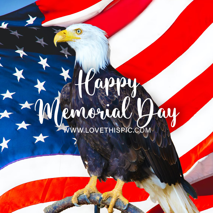 Bald Eagle - Happy Memorial Day Pictures, Photos, and Images for ...