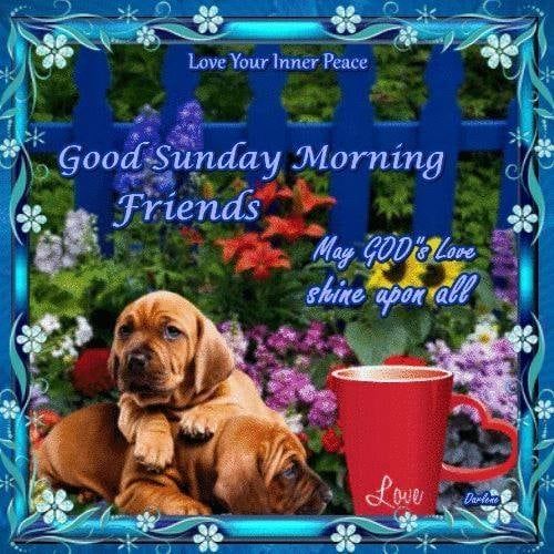 Good Sunday Morning Friends Pictures, Photos, and Images for Facebook ...