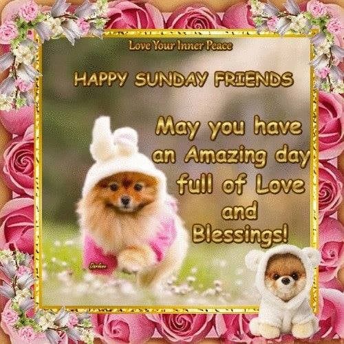 Happy Sunday Friends Pictures, Photos, and Images for Facebook, Tumblr ...