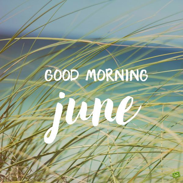 Good Morning June Pictures, Photos, and Images for Facebook, Tumblr ...
