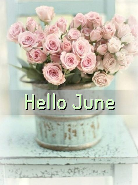 Hello June Pink Bouquet Pictures, Photos, and Images for Facebook ...