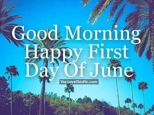 Palm Trees: Good Morning Happy First Day Of June Pictures, Photos, and ...