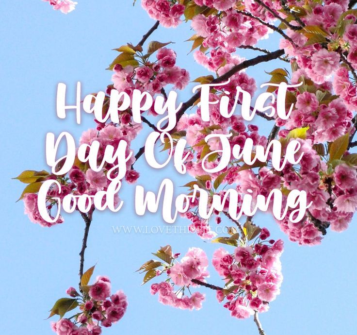 Pretty First Day Of June, Good Morning Pictures, Photos, and Images for ...