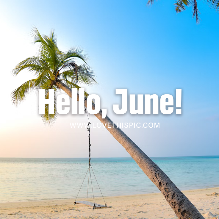 Coconut Tree On Beach - Hello, June! Pictures, Photos, and Images for ...