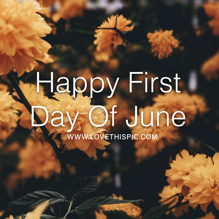 Yellow Flower - Happy First Day Of June Pictures, Photos, and Images ...