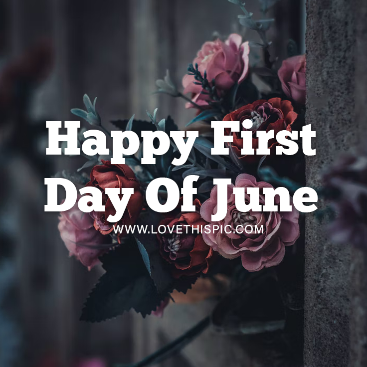 Blooming Flowers - Happy First Day Of June Pictures, Photos, and Images ...