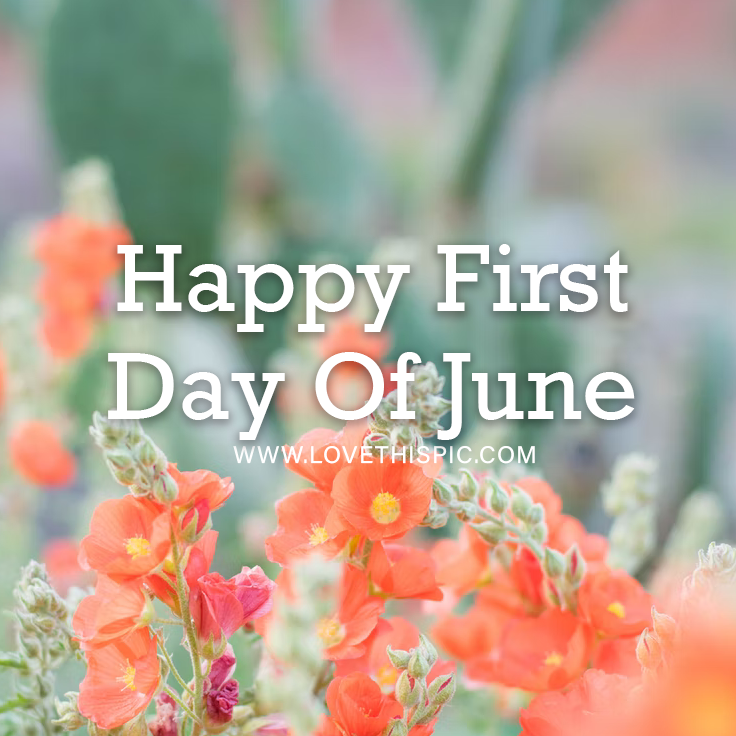 Orange Floral - Happy First Day Of June Pictures, Photos, and Images ...
