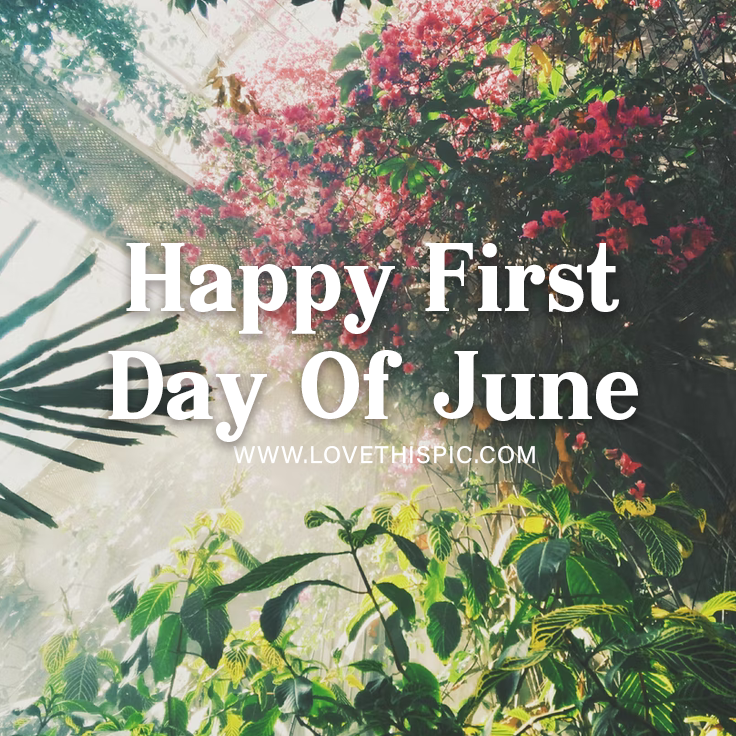 Light Through Garden - Happy First Day Of June Pictures, Photos, and ...