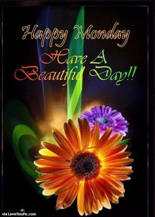 Have A Beautiful Happy Monday Pictures, Photos, and Images for Facebook ...