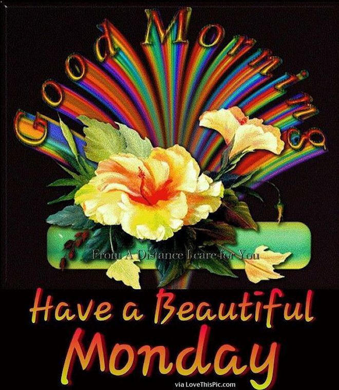 Good Morning, Have A Beautiful Monday Pictures, Photos, and Images for ...