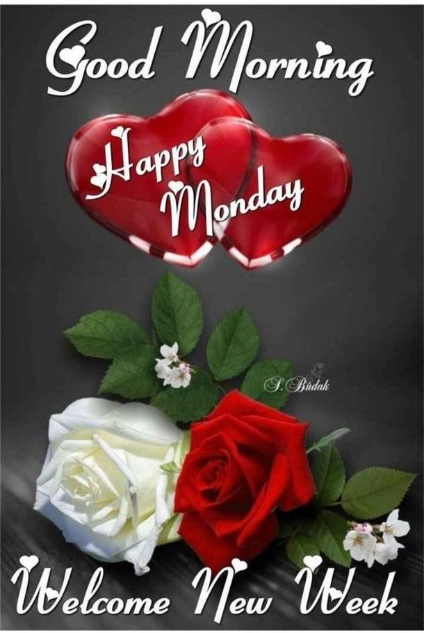 Hears & Roses Good Morning, Happy Monday Pictures, Photos, and Images ...