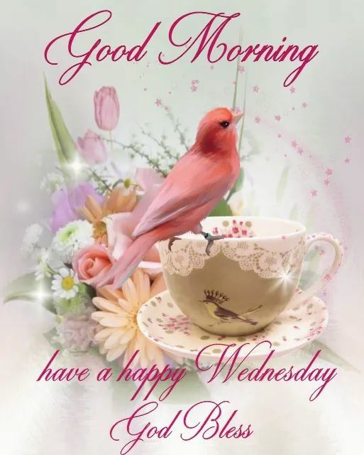 Bird On Teacup - Good Morning Have A Happy Wednesday Pictures, Photos ...