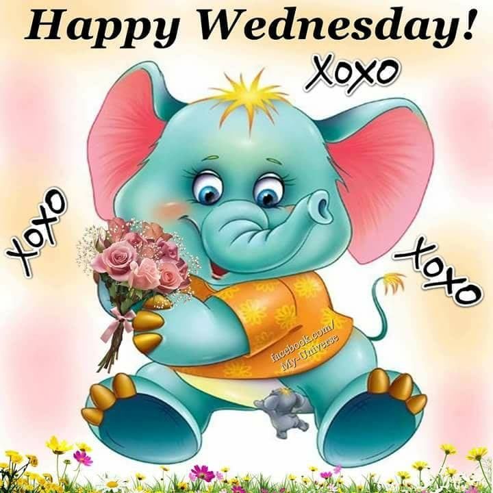 XOXO Happy Wednesday! Pictures, Photos, and Images for Facebook, Tumblr ...