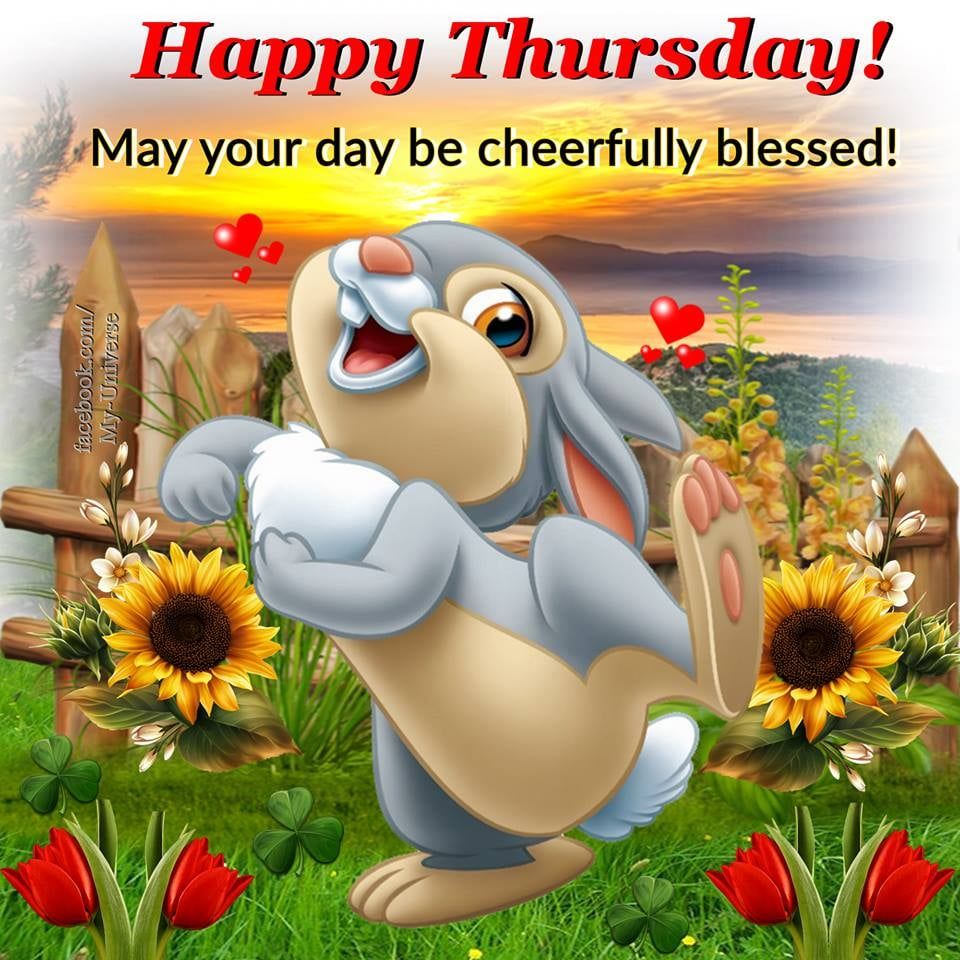 Thumper Bunny - Happy Thursday! May Your Day Be Cheerfully Blessed ...