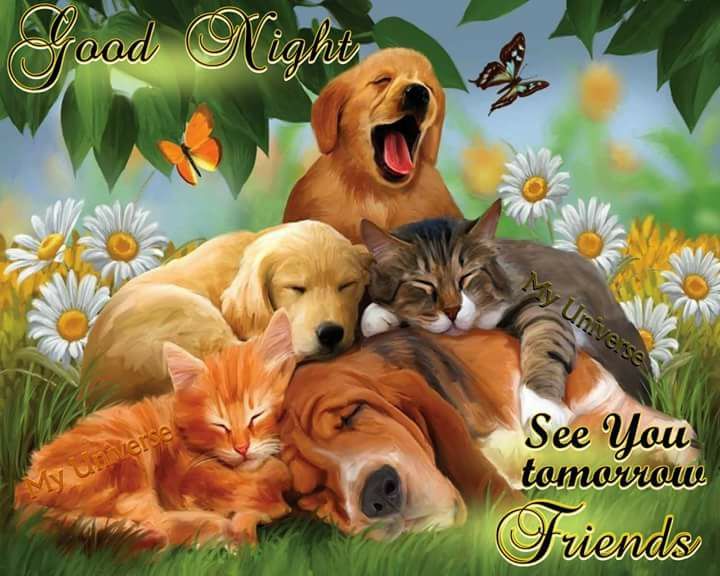 See You Tomorrow Friends