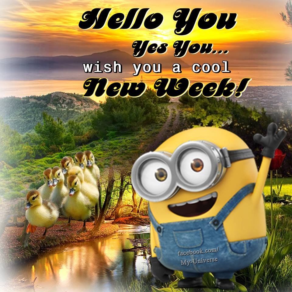Hello You. Yes You...Wish You A Cool New Week! Pictures, Photos, and ...