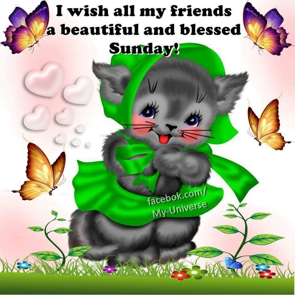 Beautiful And Blessed Sunday Wishes Pictures, Photos, and Images for ...