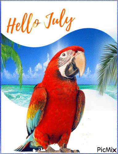 Parrot Hello July Animated Quotes Pictures, Photos, and Images for ...