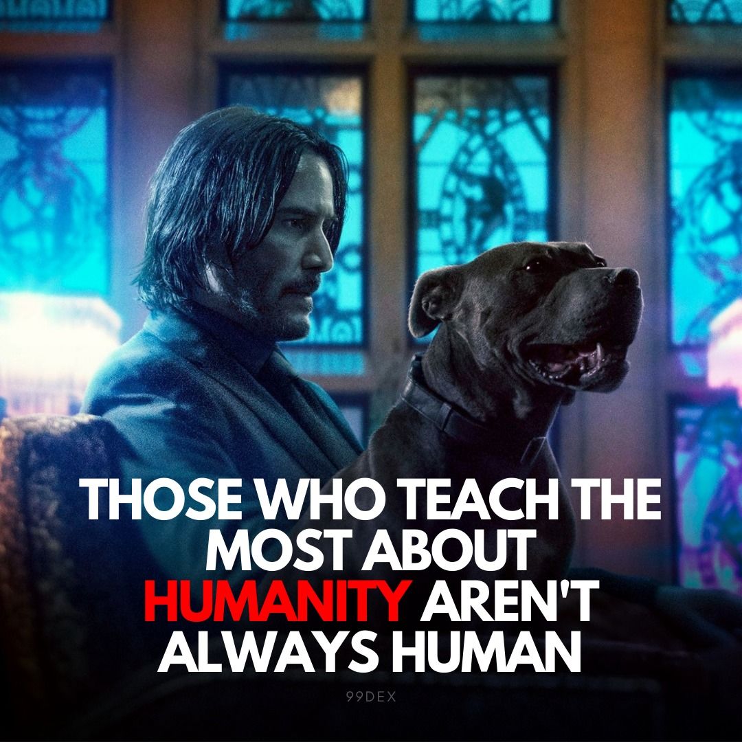 Those Who Teach The Most About Humanity Aren't Always Human Pictures ...