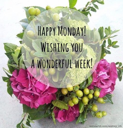 Wishing You A Wonderful Week! Pictures, Photos, and Images for Facebook ...