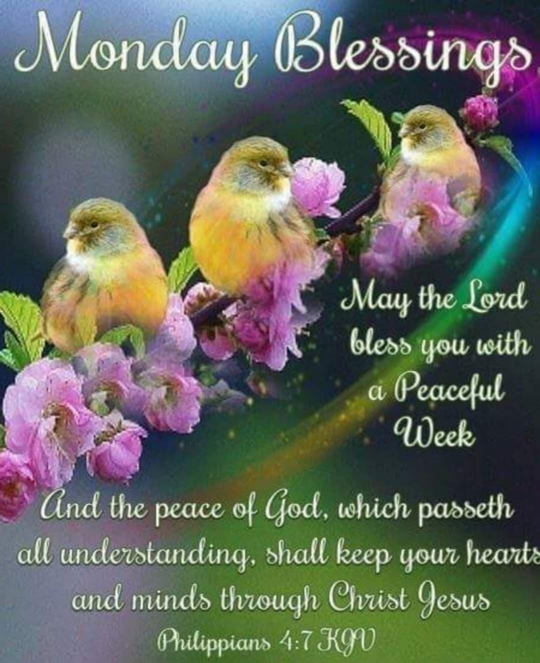 Three Beautiful Birds - Monday Blessings Pictures, Photos, and Images ...