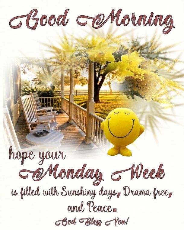 Good Morning, Hope Your Monday Week Is Full With Sunshiny Days, Drama ...