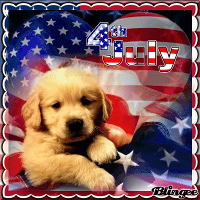 Cute Dog - Happy 4th Of July Gif Pictures, Photos, and Images for ...