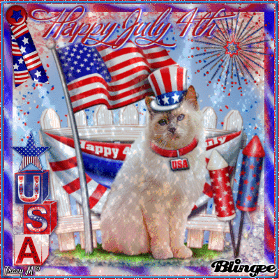 4th Of July Cat Pictures, Photos, and Images for Facebook, Tumblr ...
