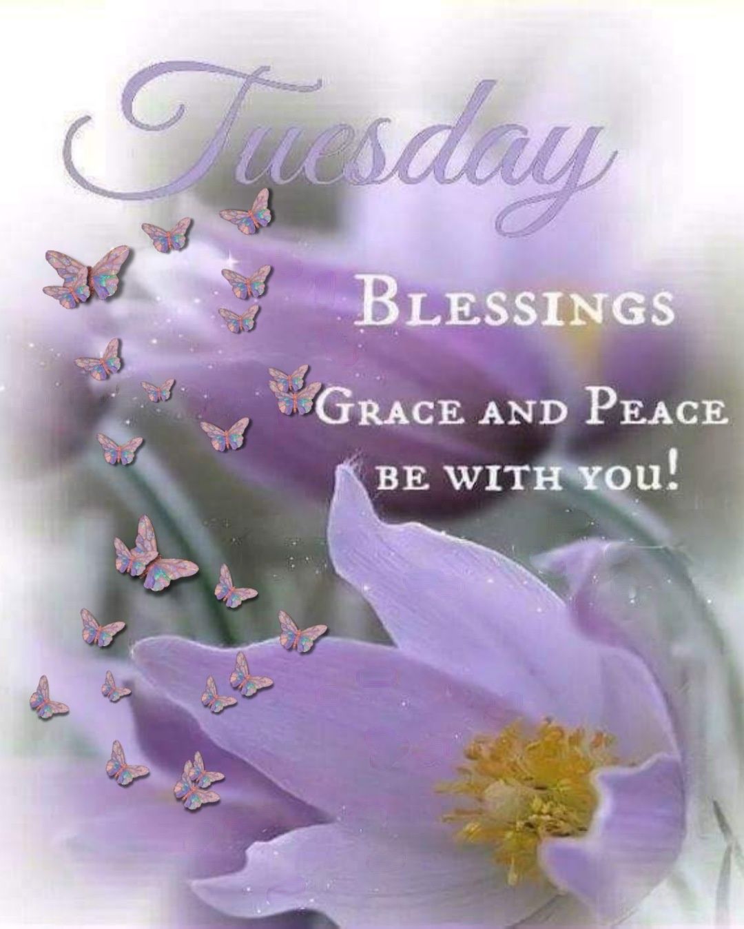Grace And Peace Be With You! Tuesday Blessings Pictures, Photos, and ...