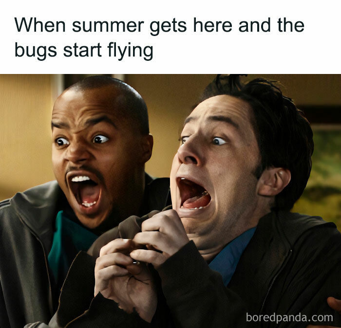 When Summer Gets There And The Bugs Start Flying Pictures, Photos, and ...
