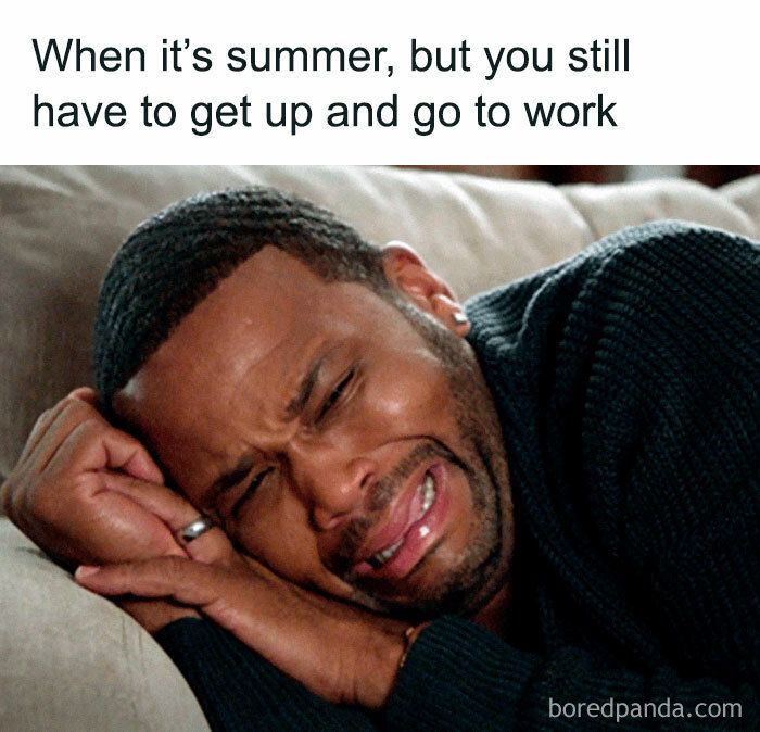 When It's Summer, But You Still Have To Get Up And Go To Work Pictures ...