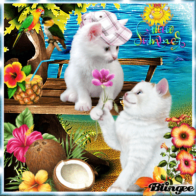 Tropical Kittens - Hello Summer Gif Pictures, Photos, and Images for ...