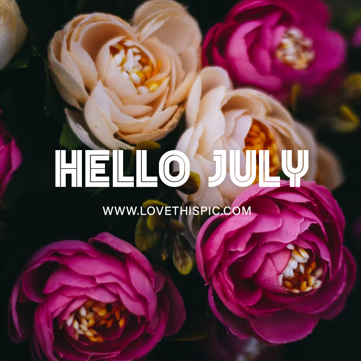 White And Purple Flower - Hello July Pictures, Photos, and Images for ...