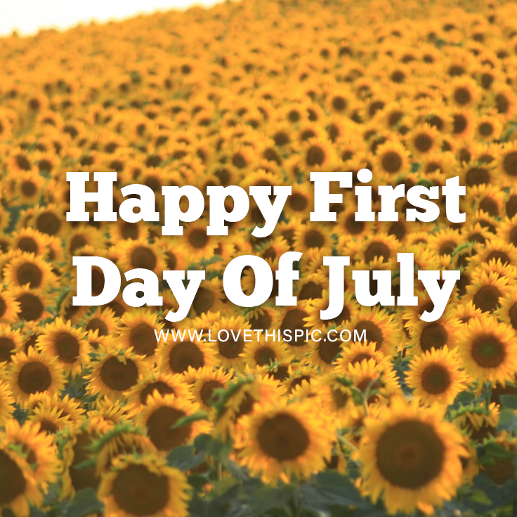 Sunflower Field - Happy First Day Of July Pictures, Photos, and Images ...