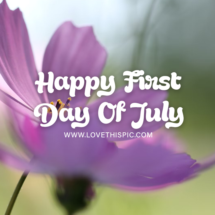 Cosmos Flower - Happy First Day Of July Pictures, Photos, and Images ...