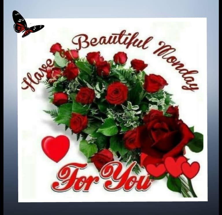 Red Rose Bouquet - Have A Beautiful Monday For You Pictures, Photos ...