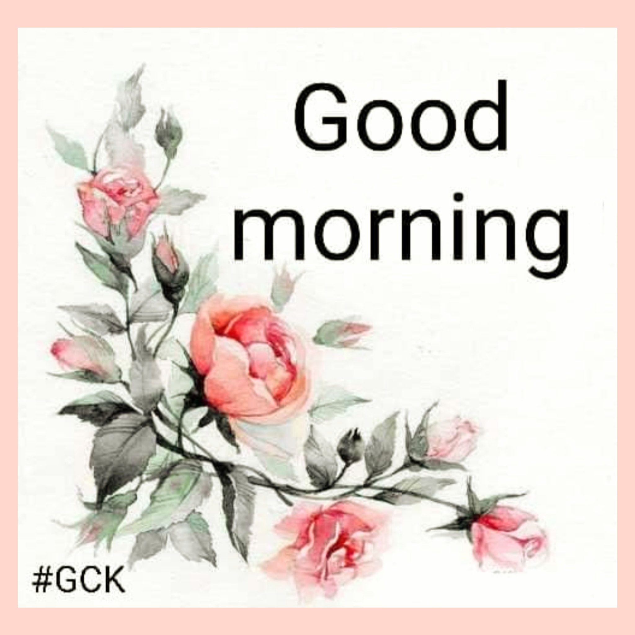 Good Morning Vintage Rose Quote Pictures, Photos, and Images for ...