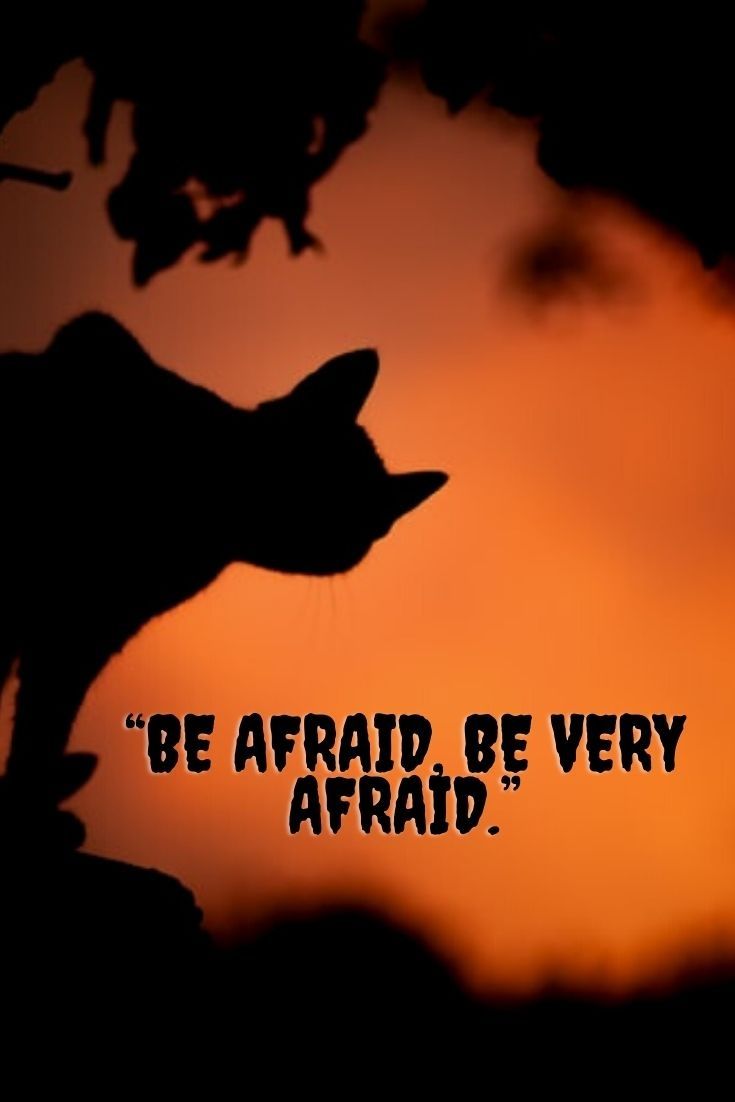 Be Afraid, Be Very Afraid Pictures, Photos, and Images for Facebook, Tumblr, Pinterest, and Twitter
