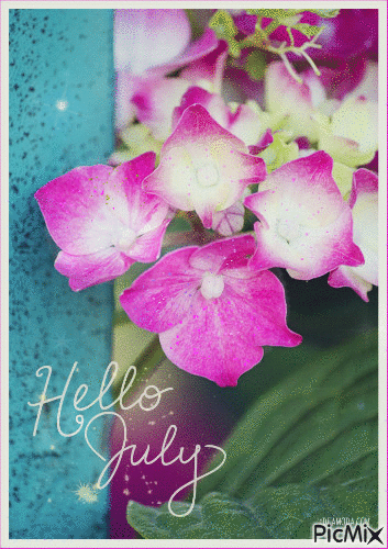 Hello July Violet And White Flowers Pictures, Photos, and Images for ...