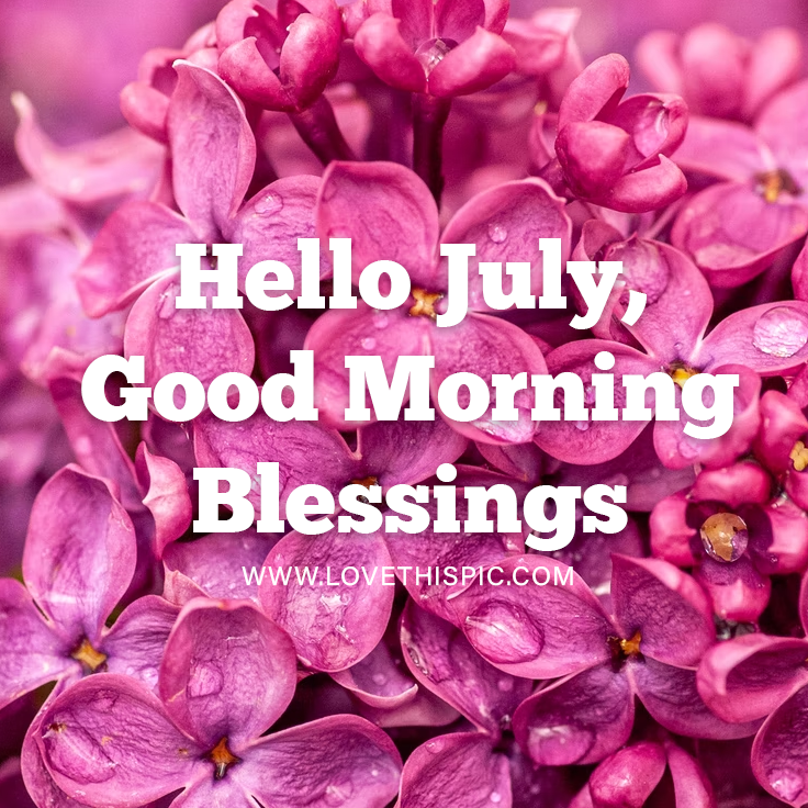 Pink Lilac - Hello July, Good Morning Blessings Pictures, Photos, and ...